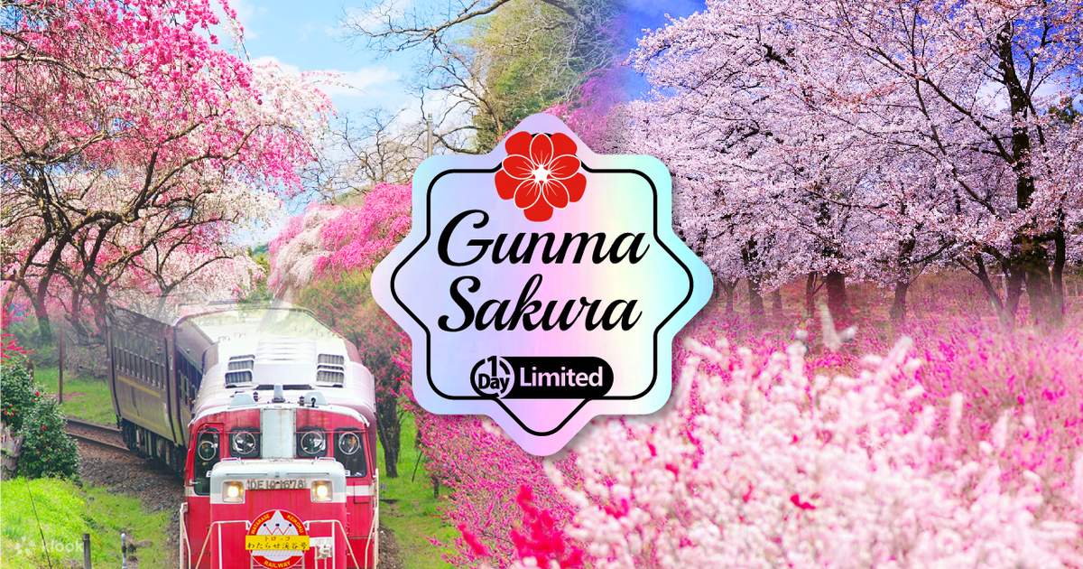 [Sakura Train Limited for Sakura Season] Watarase River Valley Sakura ...